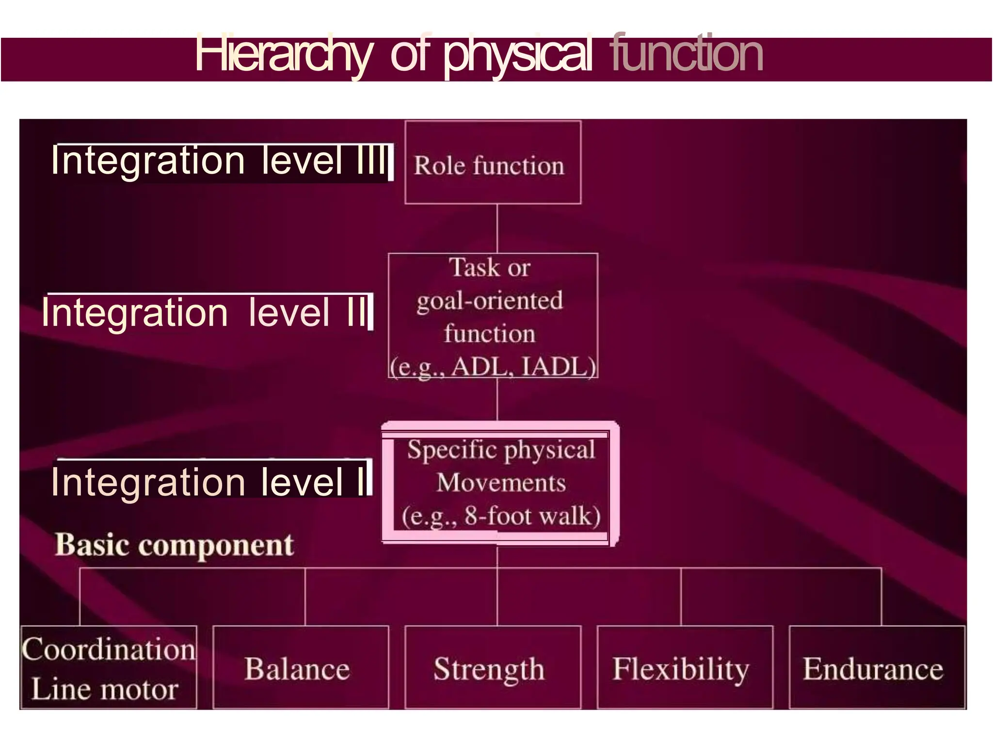 hierarchy of physical function of elderly.pptx