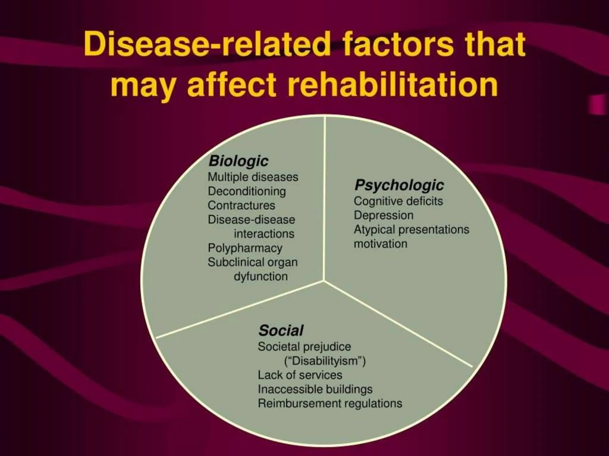 hierarchy of physical function of elderly.pptx