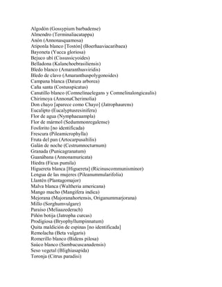 Hierbas de osha y orishas | PDF