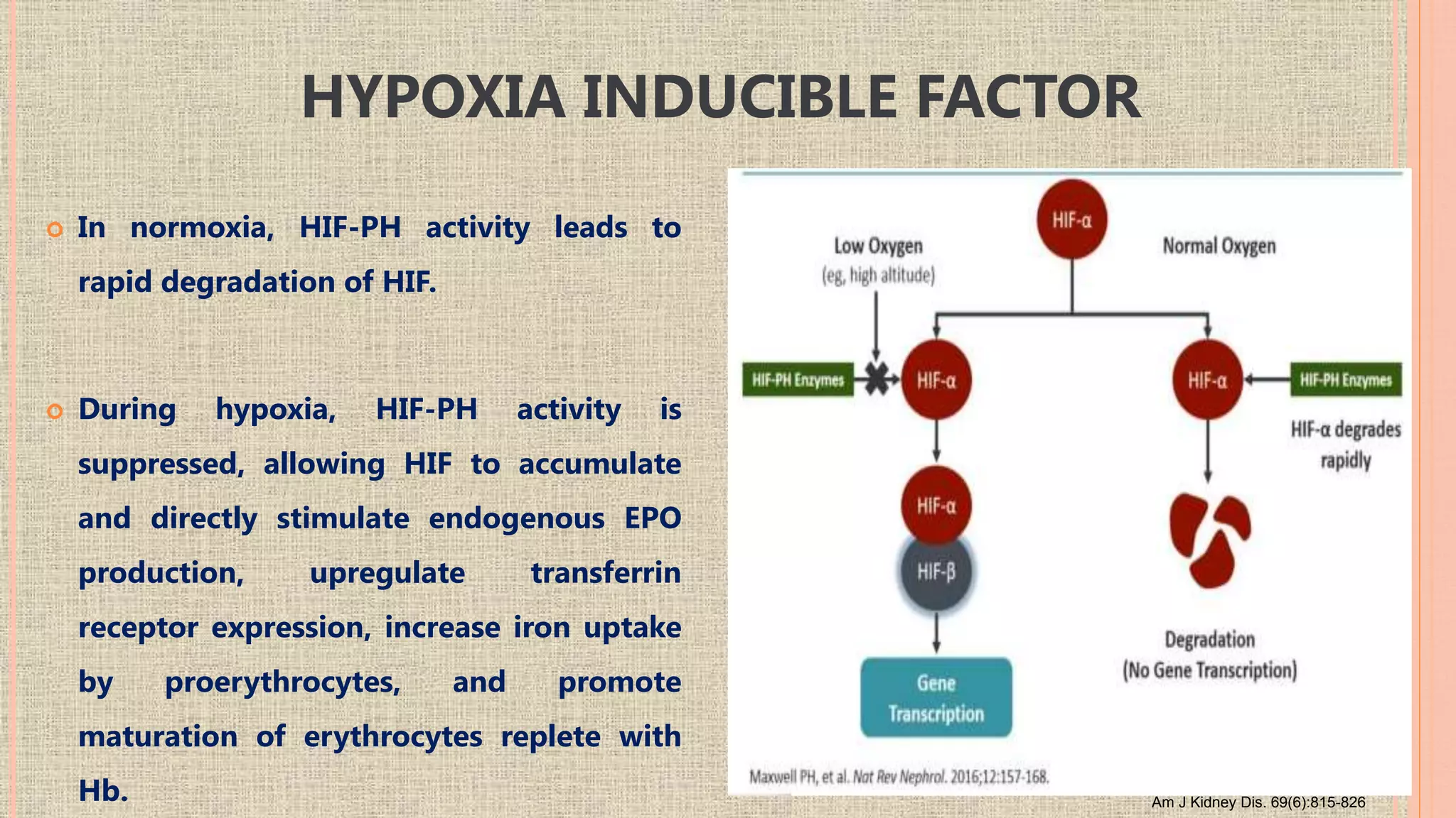 Hif ph inhibitors for anemia in ckd | PPT