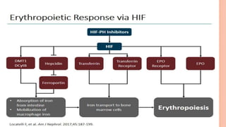 Hif ph inhibitors for anemia in ckd | PPT
