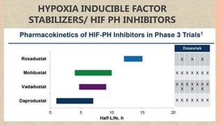 Hif ph inhibitors for anemia in ckd | PPT