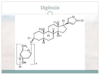 Digitalis purpurea Linn. | PPTX