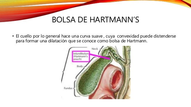 Higado - Pancreas- Vias biliares