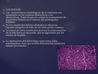 ANATOMIA PATOLOGICA DE HIGADO | PPTX