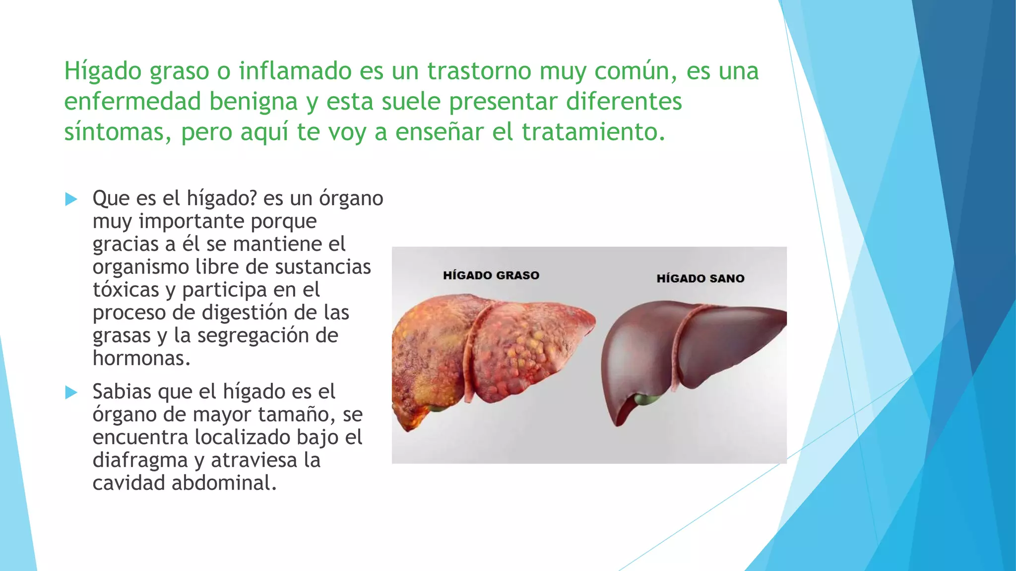 Higado Graso Sintomas Y Tratamiento