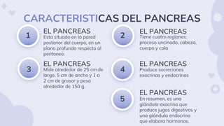 higado, pancreas.pptx