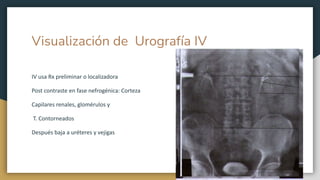 ESTUDIO DE IMAGEN DE HÍGADO, VIAS BILIARES, PÁNCREAS Y RIÑON.pdf