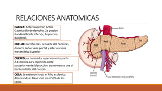 Higado vias biliares y pancreas | PPTX
