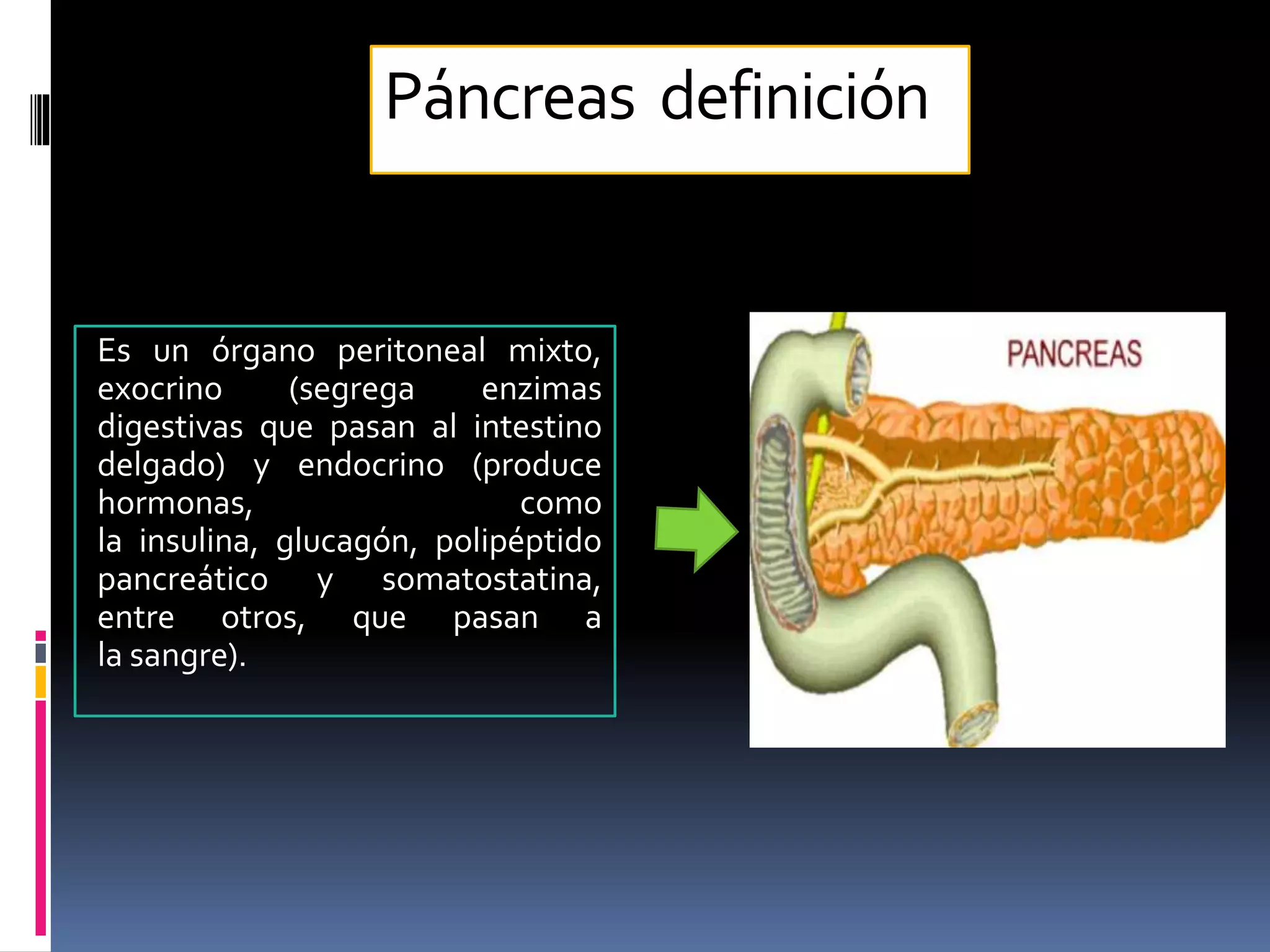 Higado,vias biliares y pancreas | PPT