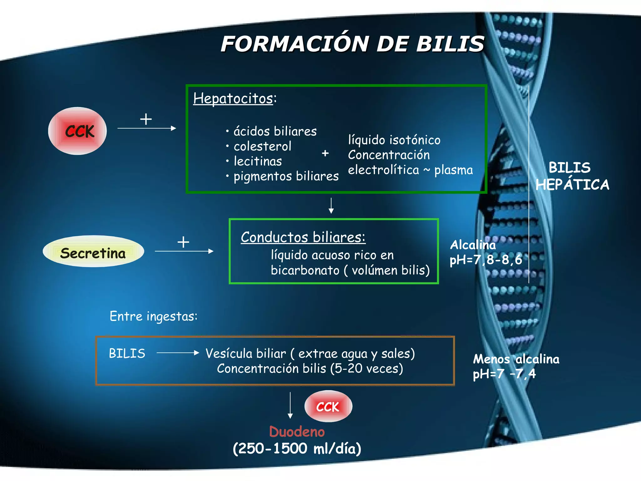Higado y sistema hepatobiliar | PPT