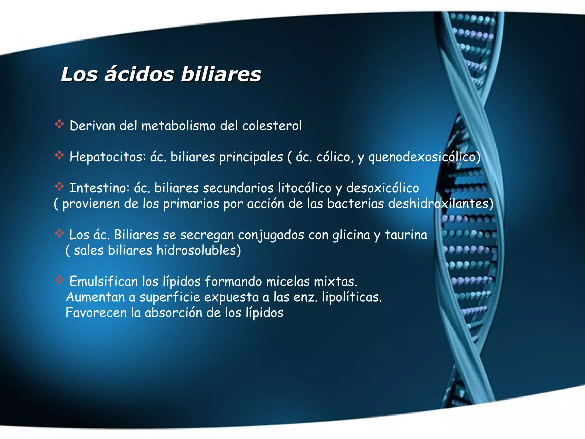 Higado y sistema hepatobiliar | PPT