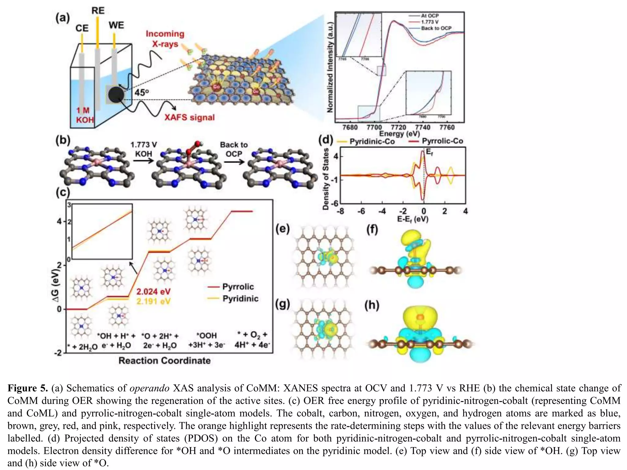High-Density Cobalt Single-Atom Catalysts for Enhanced Oxygen Evolution ...