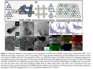 High-Density Cobalt Single-Atom Catalysts for Enhanced Oxygen Evolution ...