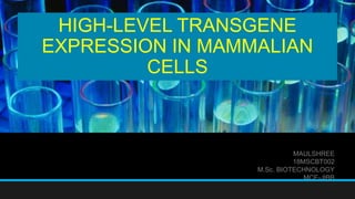 High level transgene expression in mammalian cells | PPTX