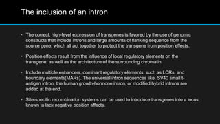 High level transgene expression in mammalian cells | PPT