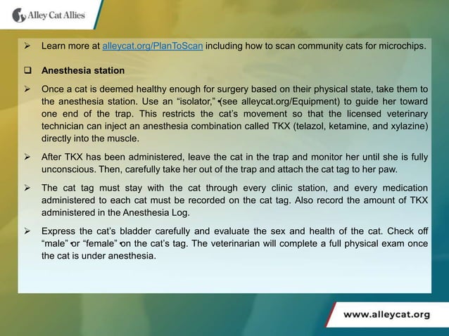 High-quality, high-volume spay and neuter clinic guide | PPT