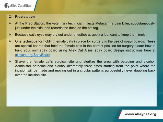 High-quality, high-volume spay and neuter clinic guide | PPT