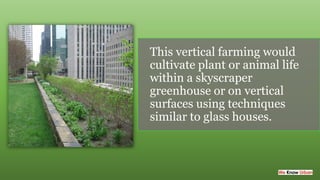 High-Rise Farming for a Healthier Lifestyle | PPTX