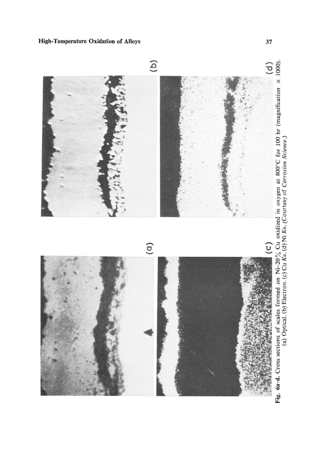 High-temperature oxidation of alloys.pdf