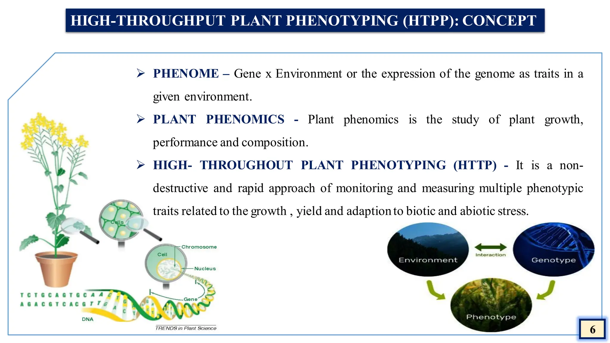 HIGH-THROUGHPUT PHENOTYPING METHODS FOR ECONOMIC TRAITS and DESIGNER ...