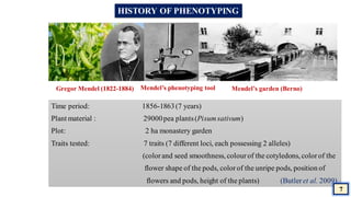 HIGH-THROUGHPUT PHENOTYPING METHODS FOR ECONOMIC TRAITS and DESIGNER ...