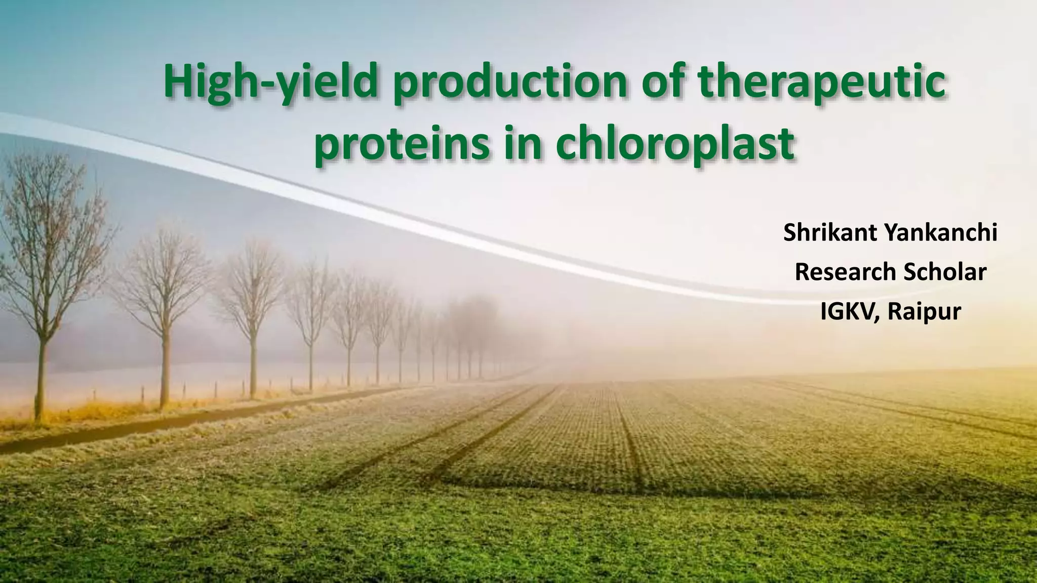 High yield production of therapeutic proteins in chloroplast | PPT