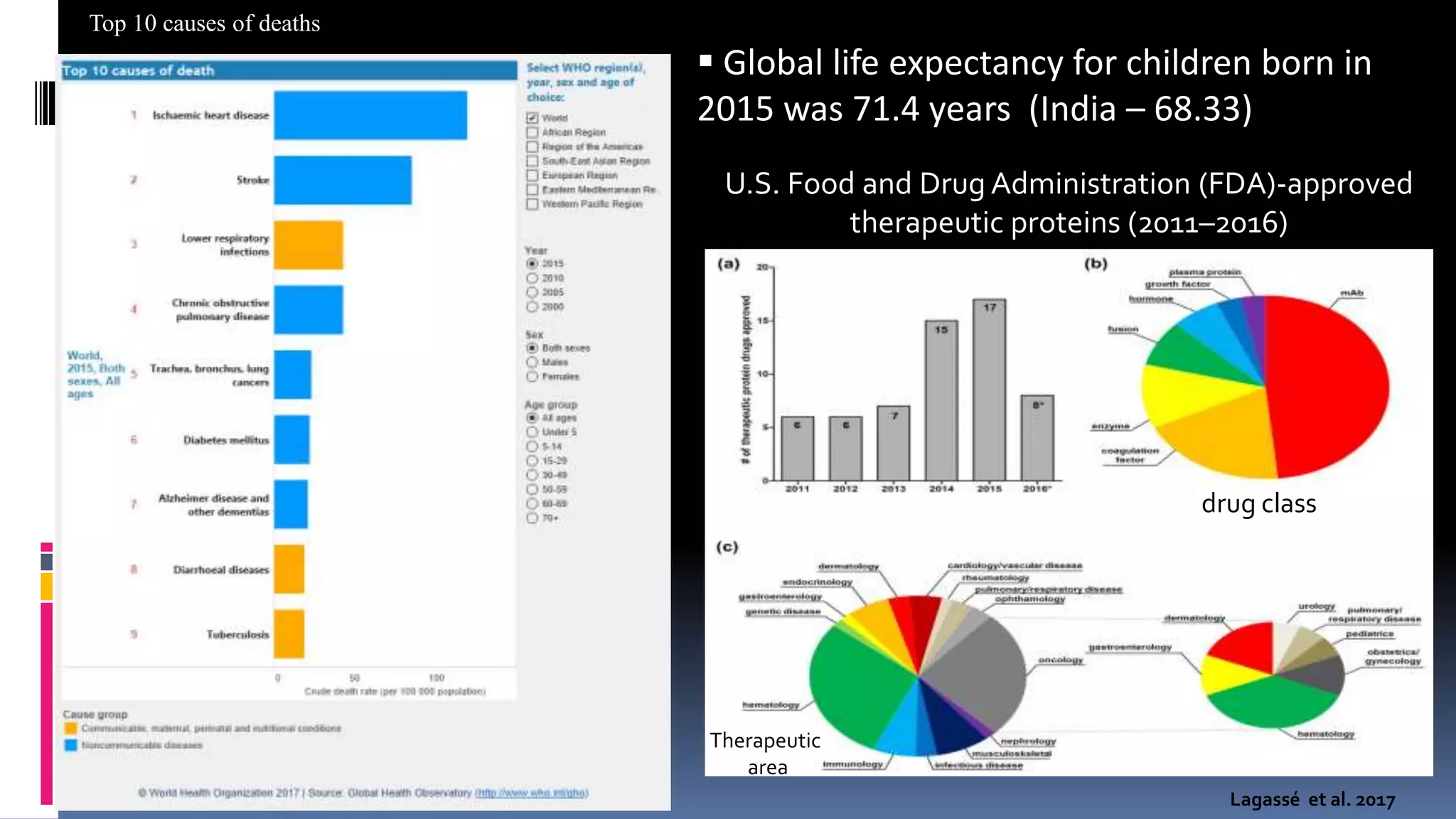 High yield production of therapeutic proteins in chloroplast | PPT