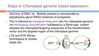 High yield production of therapeutic proteins in chloroplast | PPT