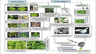 High yield production of therapeutic proteins in chloroplast | PPT