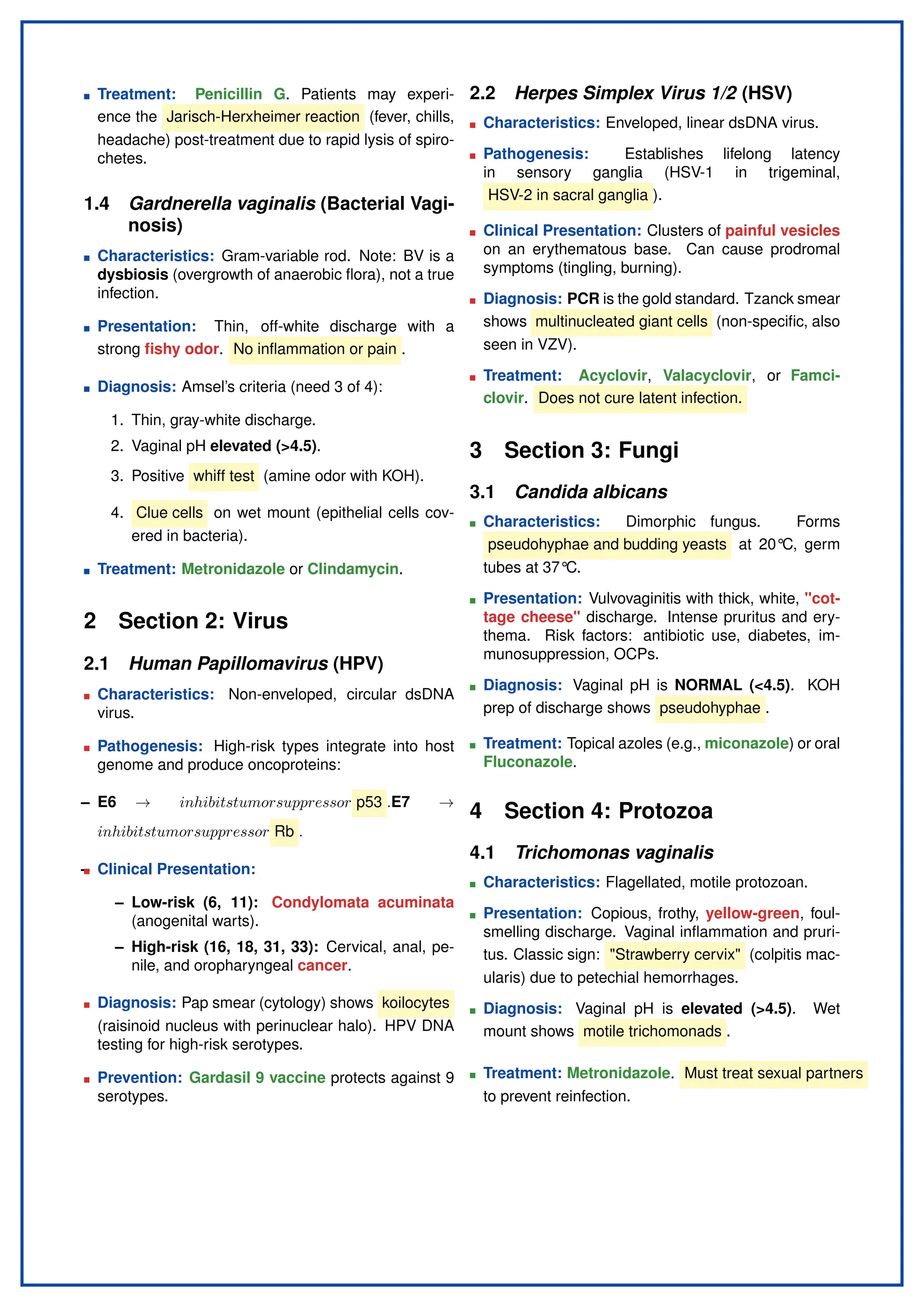 High-Yield Reproductive Microbiology.pdf