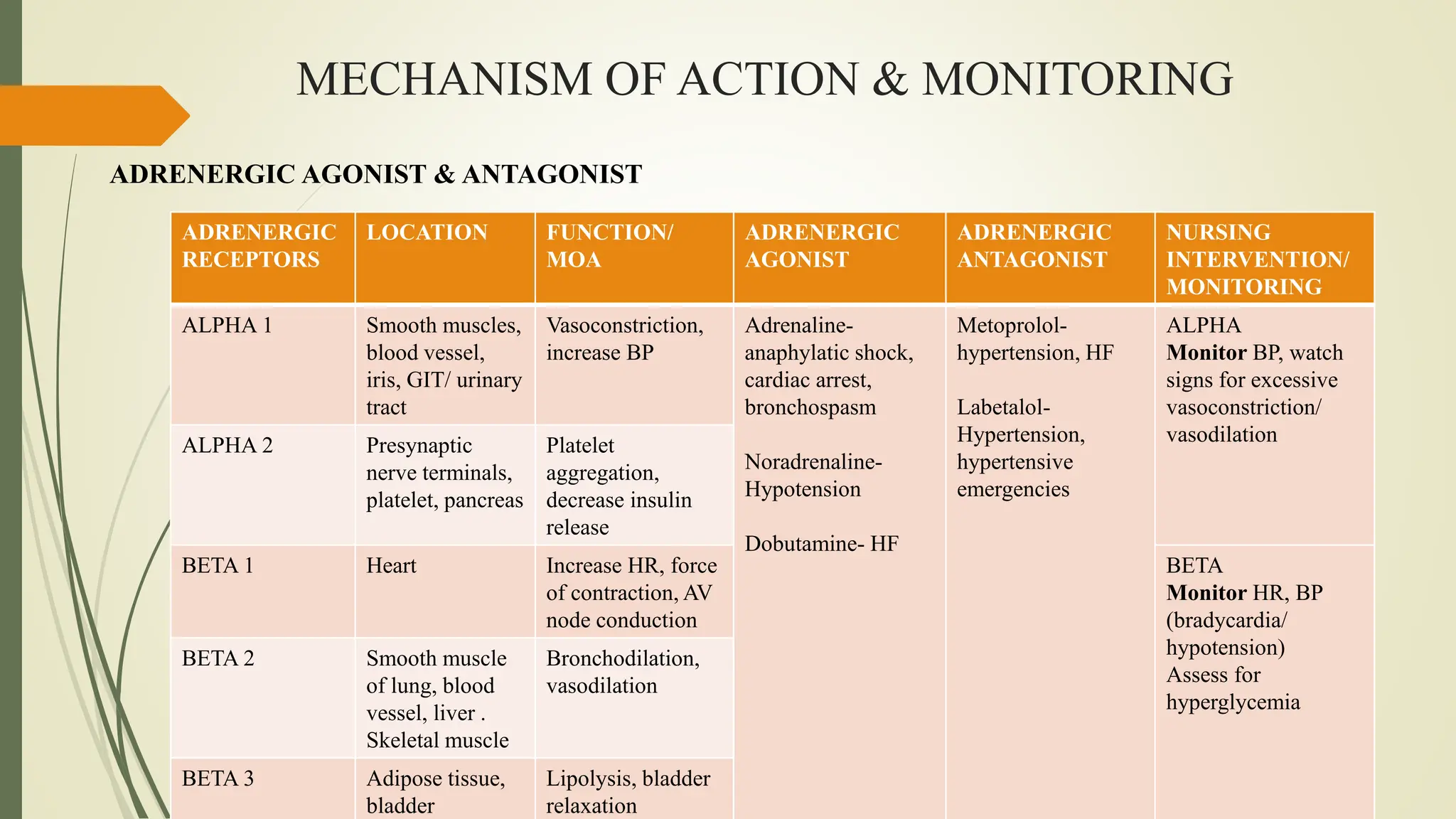 HIGH ALERT MEDICATIONS- 2024 ISMP Update | PPTX