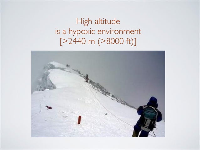 High altitude illness | PDF | Lung and Respiratory Health | Diseases ...