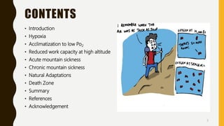 High Altitude Adaptations | PPTX