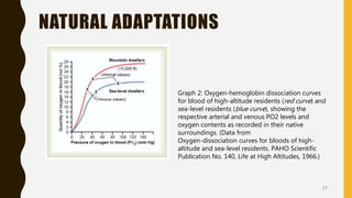 High Altitude Adaptations | PPT