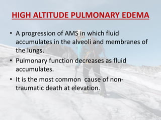 High altitude illness | PDF