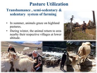 High altitude pasture management _ VPAUL.ppt