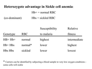 High altitude phy power presentation.ppt