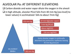 High altitude physiology01 | PPTX