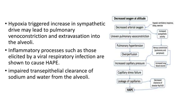 HIGH ALTITUDE PULMONORY EDEMA (HAPE)[2305843009213699724].pptx