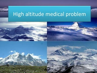 High altitude syndrome | PPTX