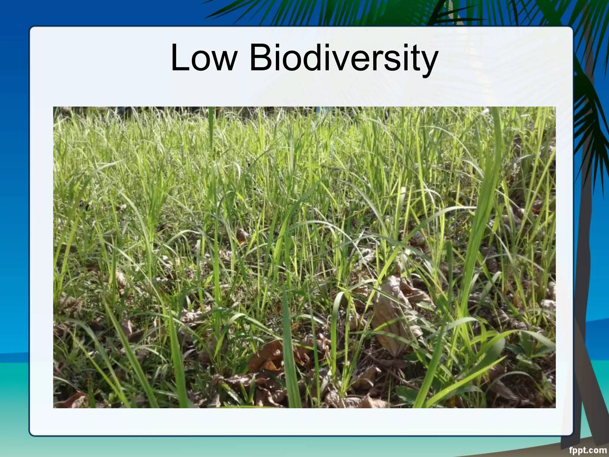 high and low bio.ppt