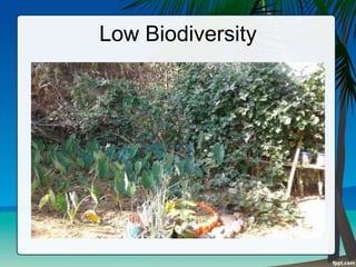 high and low bio.ppt | Biological Sciences | Science