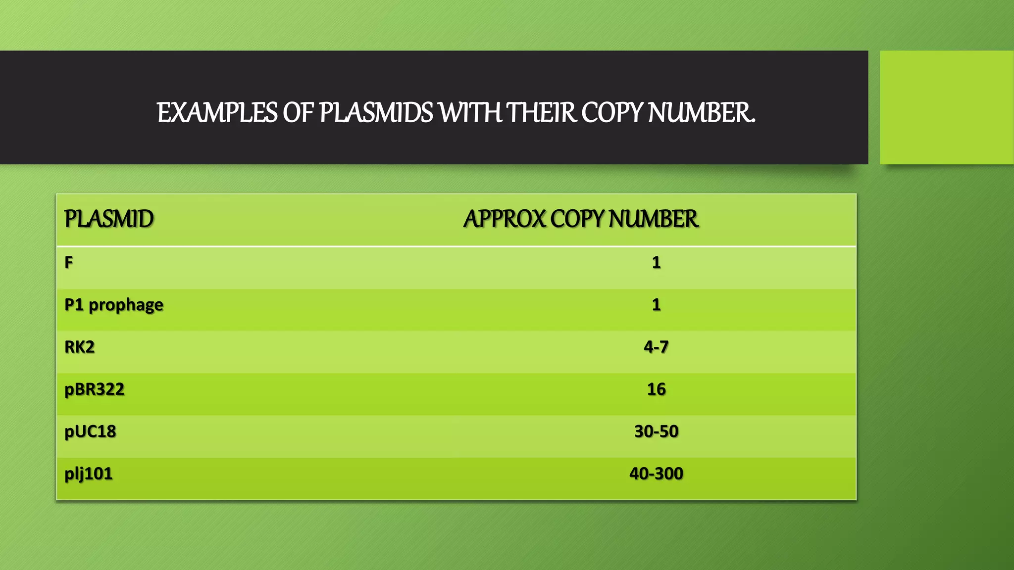 High and low copy number of plasmids | PPTX | Biological Sciences | Science
