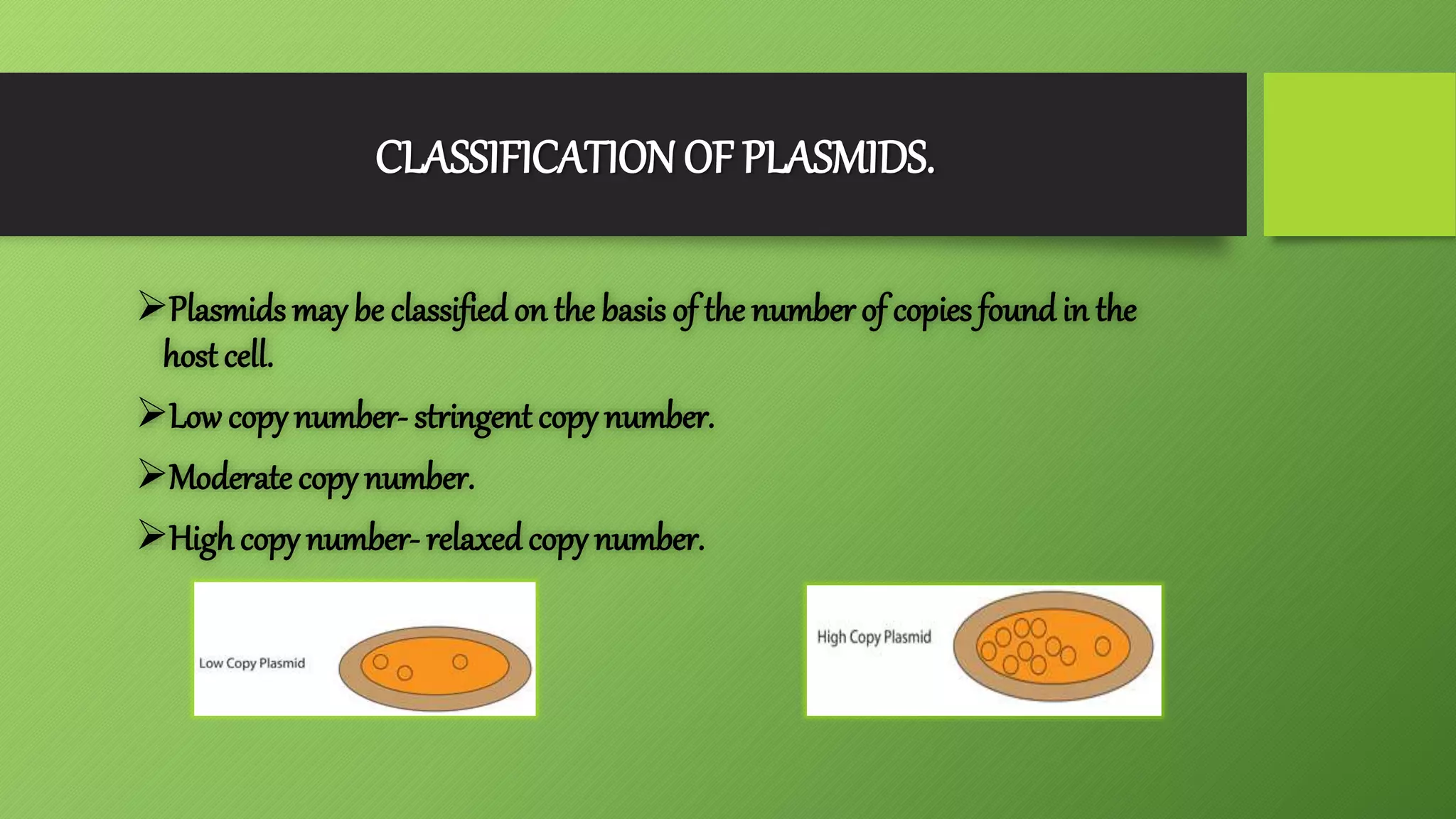 High and low copy number of plasmids | PPTX | Biological Sciences | Science