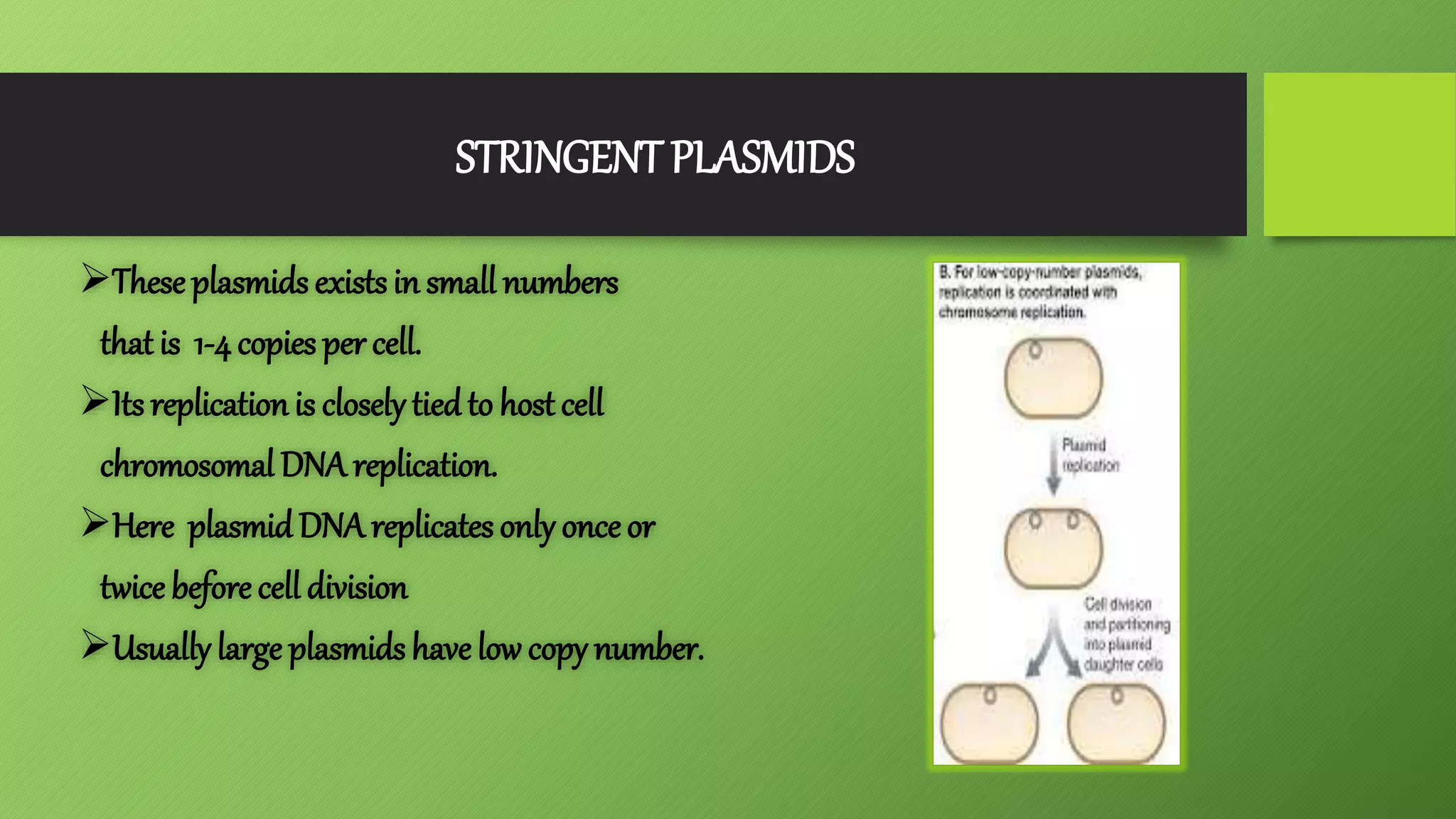 High and low copy number of plasmids | PPTX