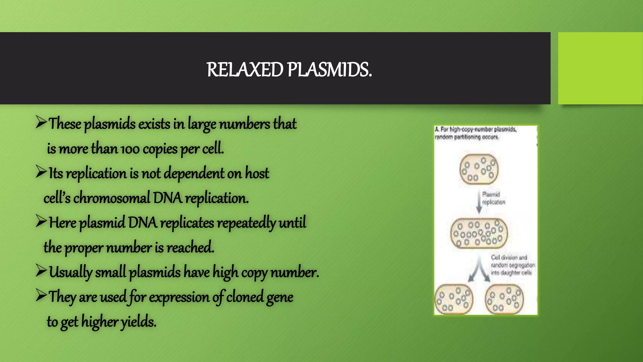 High and low copy number of plasmids | PPTX | Biological Sciences | Science