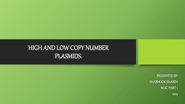 High and low copy number of plasmids | PPTX | Biological Sciences | Science