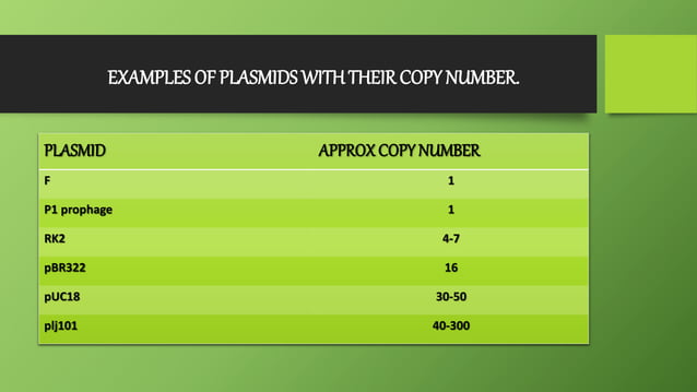 High and low copy number of plasmids | PPTX | Biological Sciences | Science