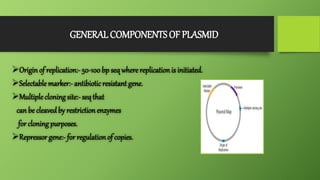 High and low copy number of plasmids | PPTX